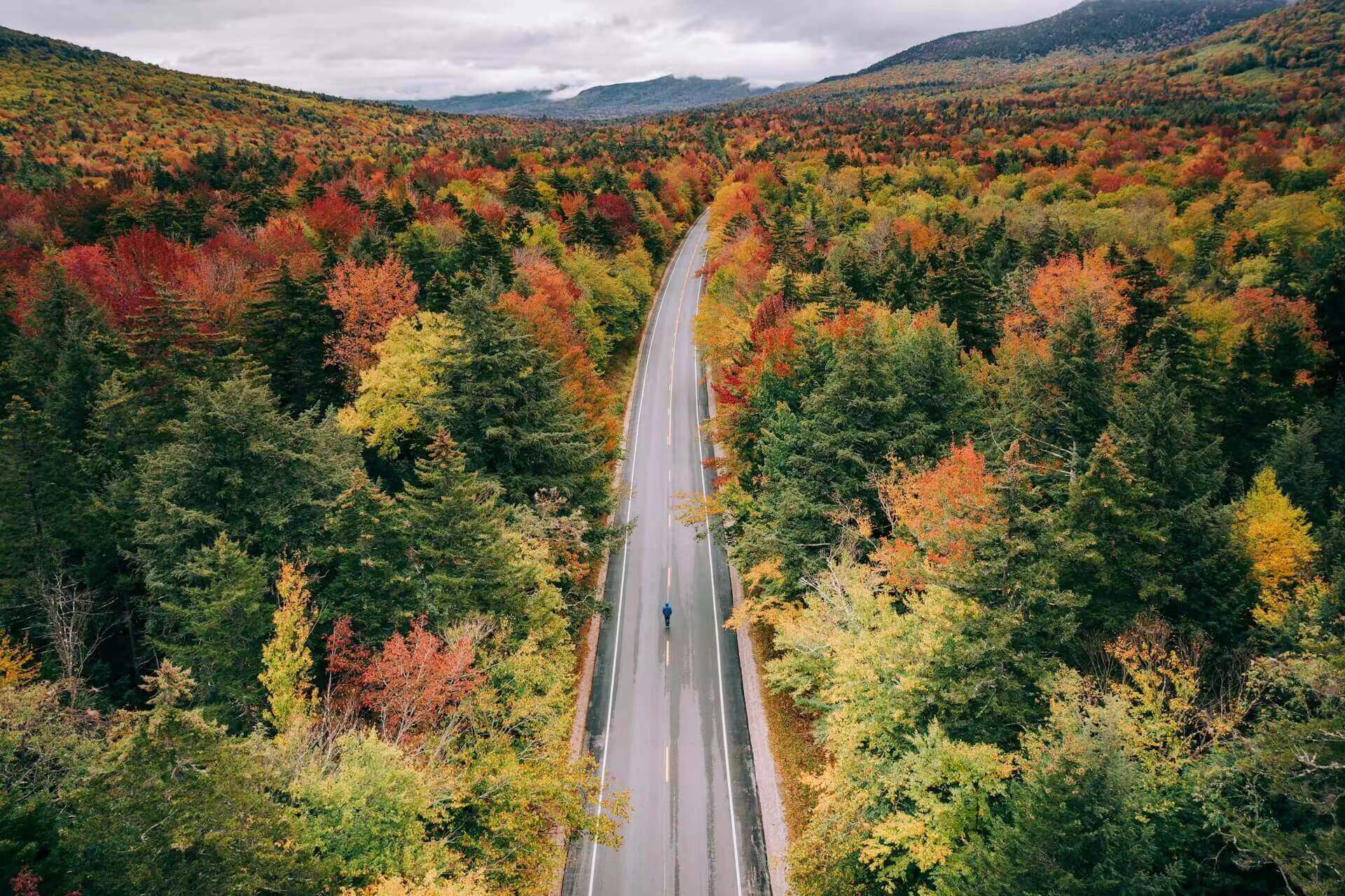 Rotos的学习笔记